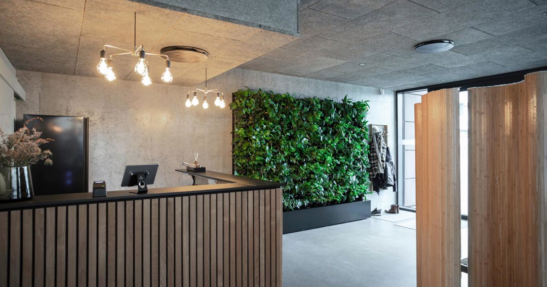 Acoustic ceiling with natural strength | Troldtekt