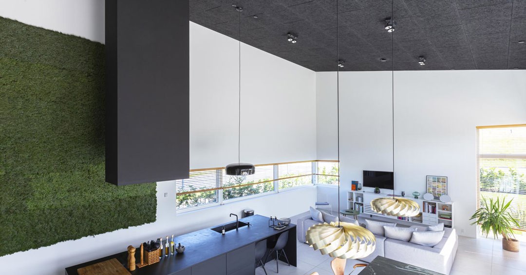 Architectural gem with black acoustic ceilings | Troldtekt