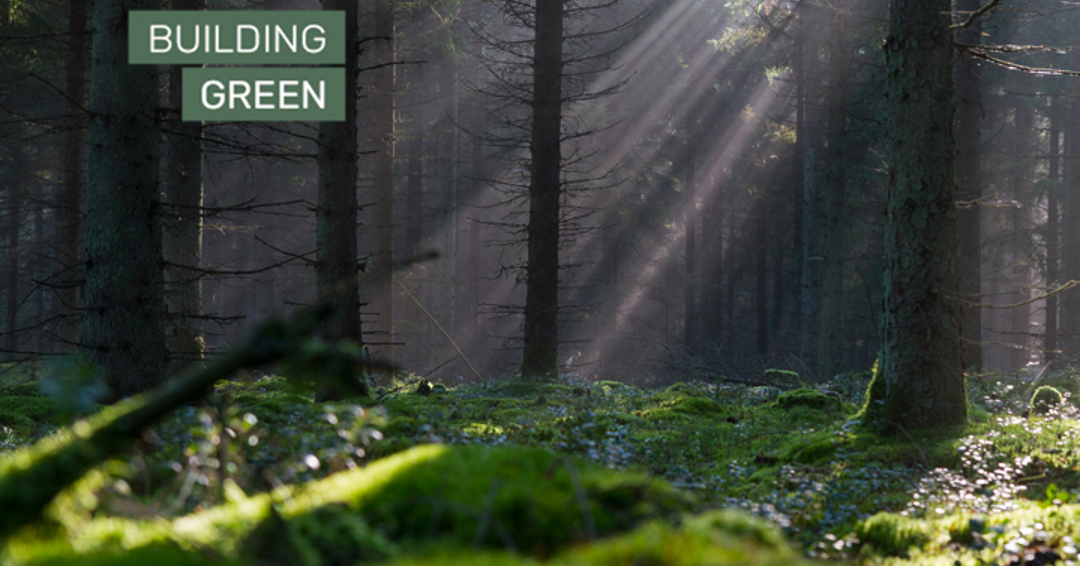 Building Green: How to build with a proven sustainable indoor climate