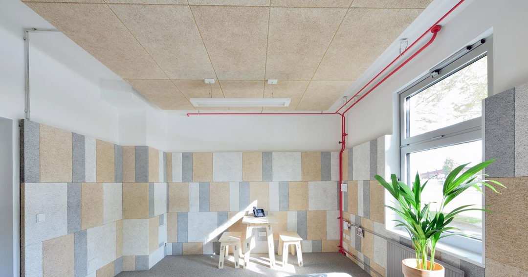 Troldtekt acoustic panels used in sustainability lab